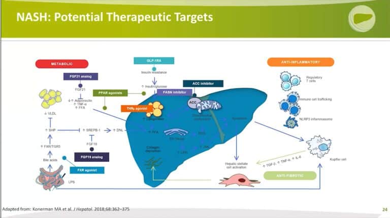 NASH Treatment: Review Of Current And Future Therapies For Non ...