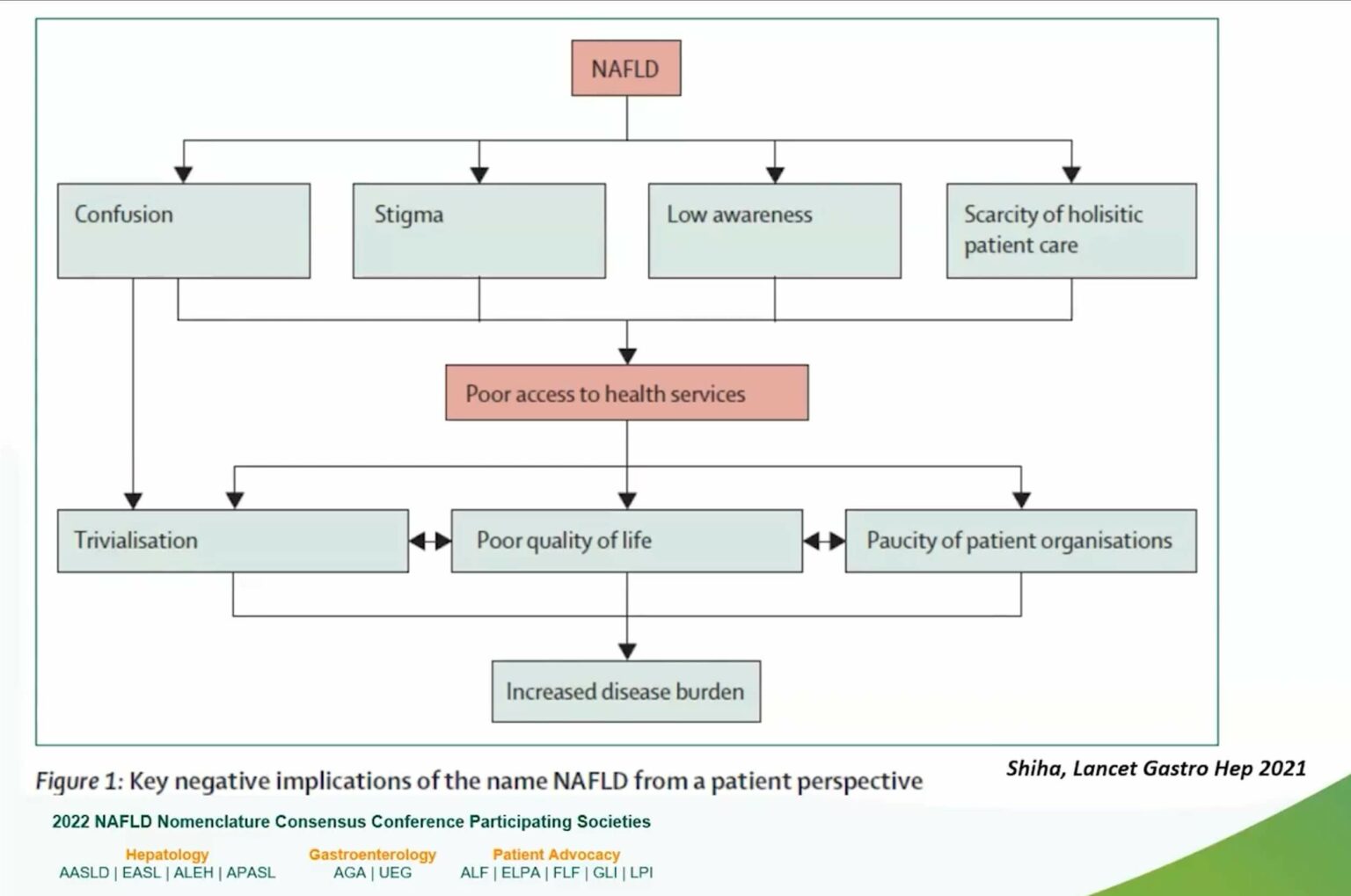 NASH 2024: The New Nomenclature And Revised Definition - PanNASH